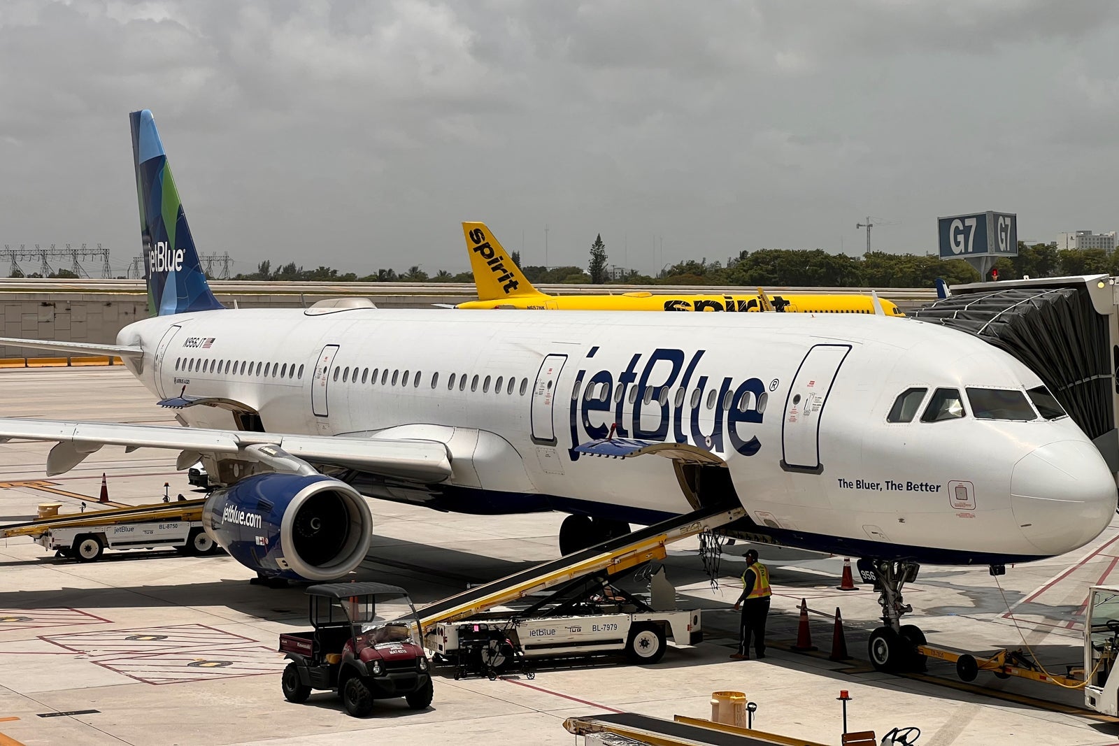 How to know when American and JetBlue benefits apply through Northeast ...