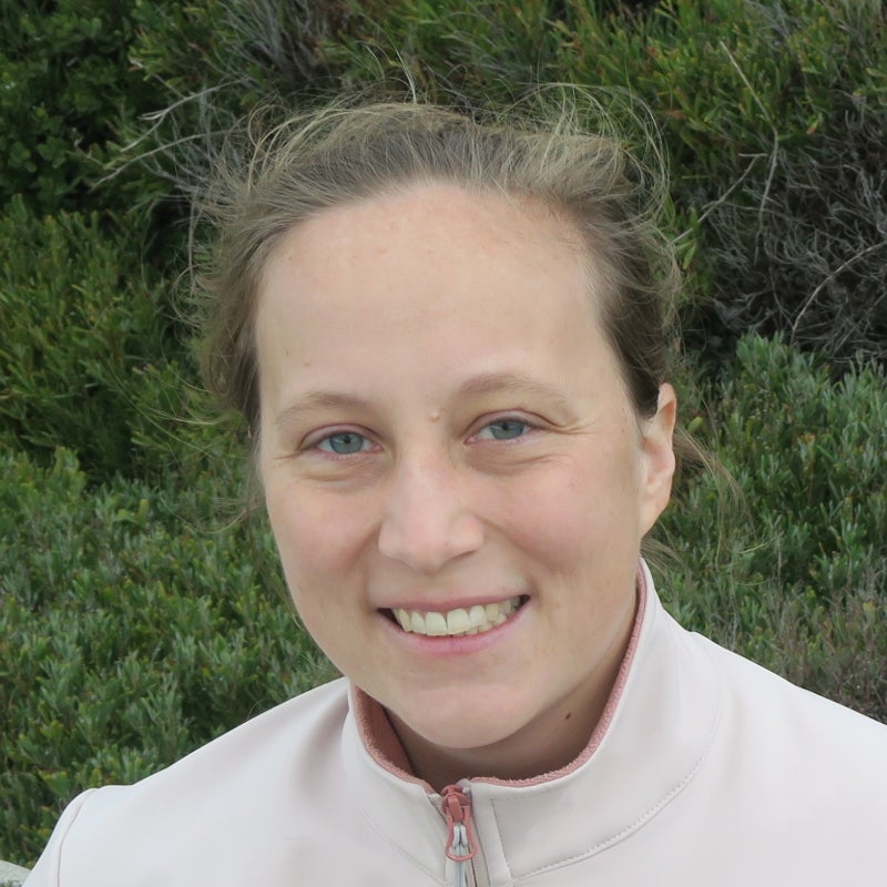 Hilton Honors reintroduces its Diamond Status Extension program - The ...