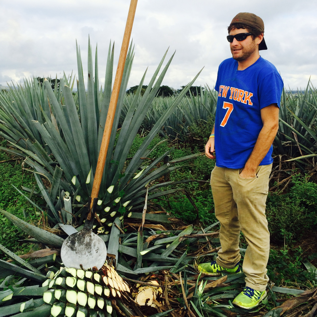 10 Hangover Cures from Around the World - The Points Guy