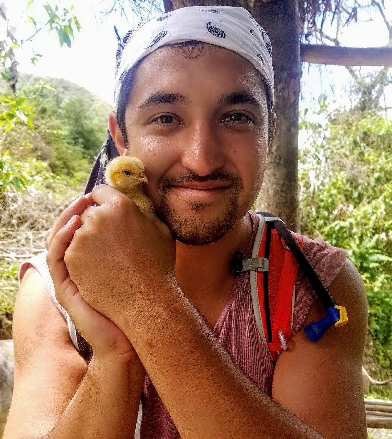 Why the Chase Sapphire Reserve is the top card for booking rental cars ...